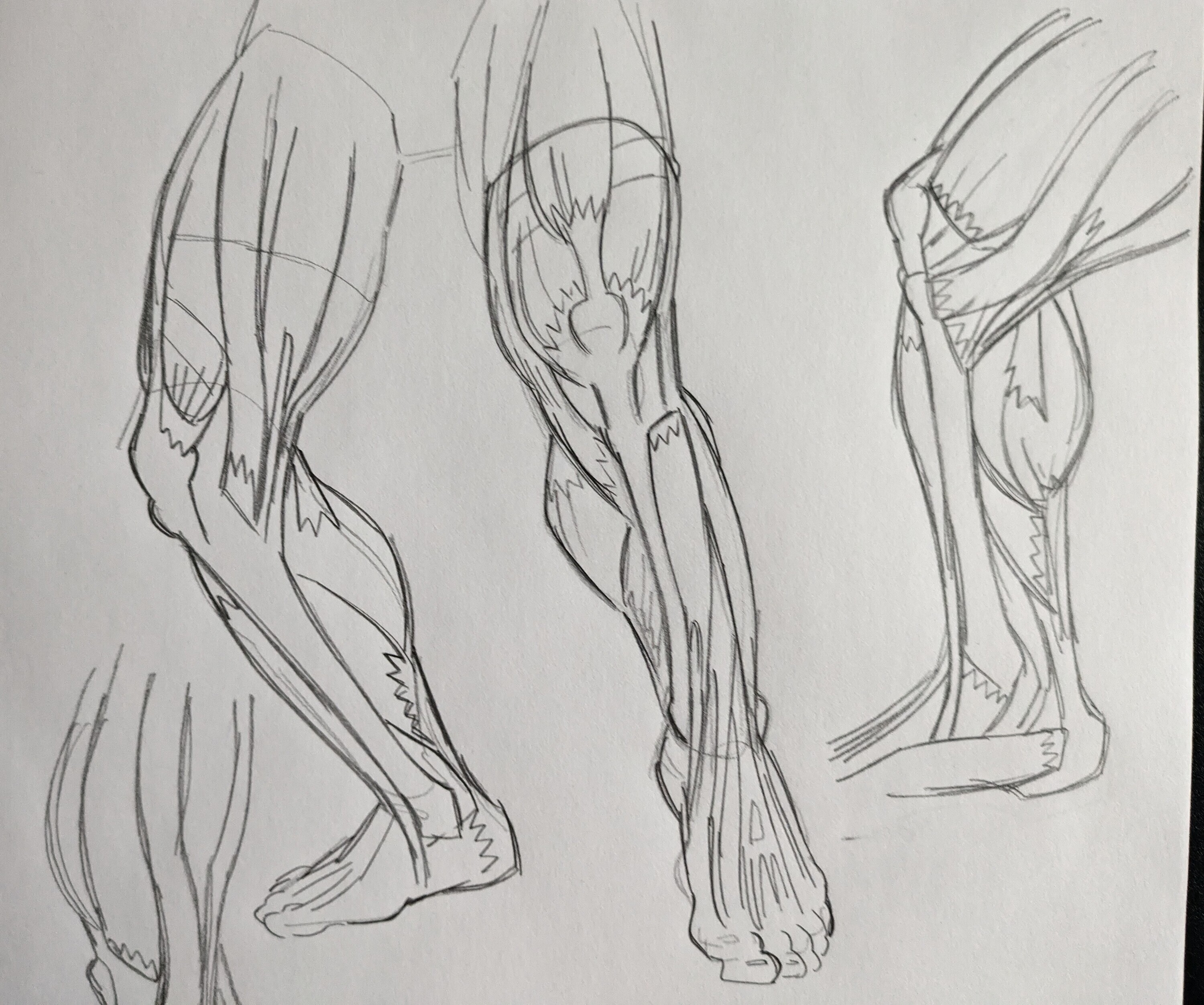 rayminiscule - study